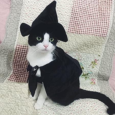 cat cosplays